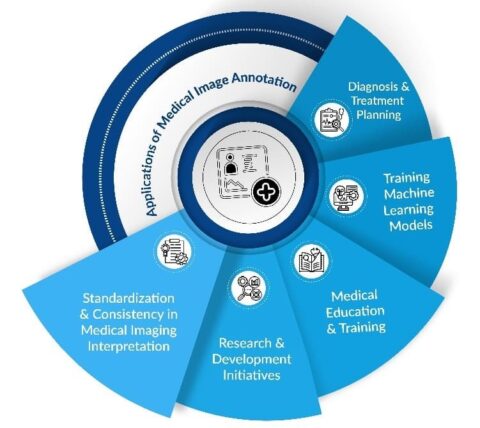 Unlocking Insights: The Role of Image Annotation in Advancing Medical ...